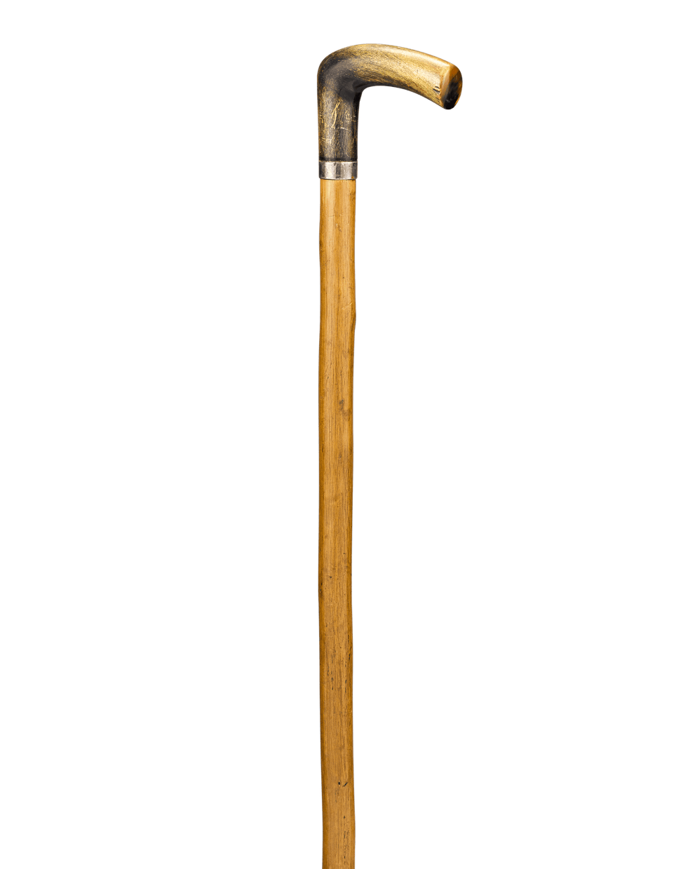 Tree Sap Cane | M.S. Rau