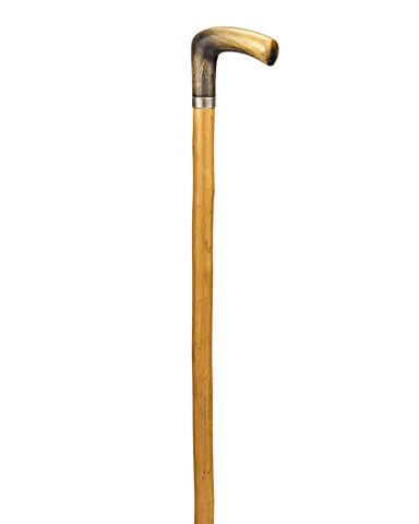 Tree Sap Cane | M.S. Rau