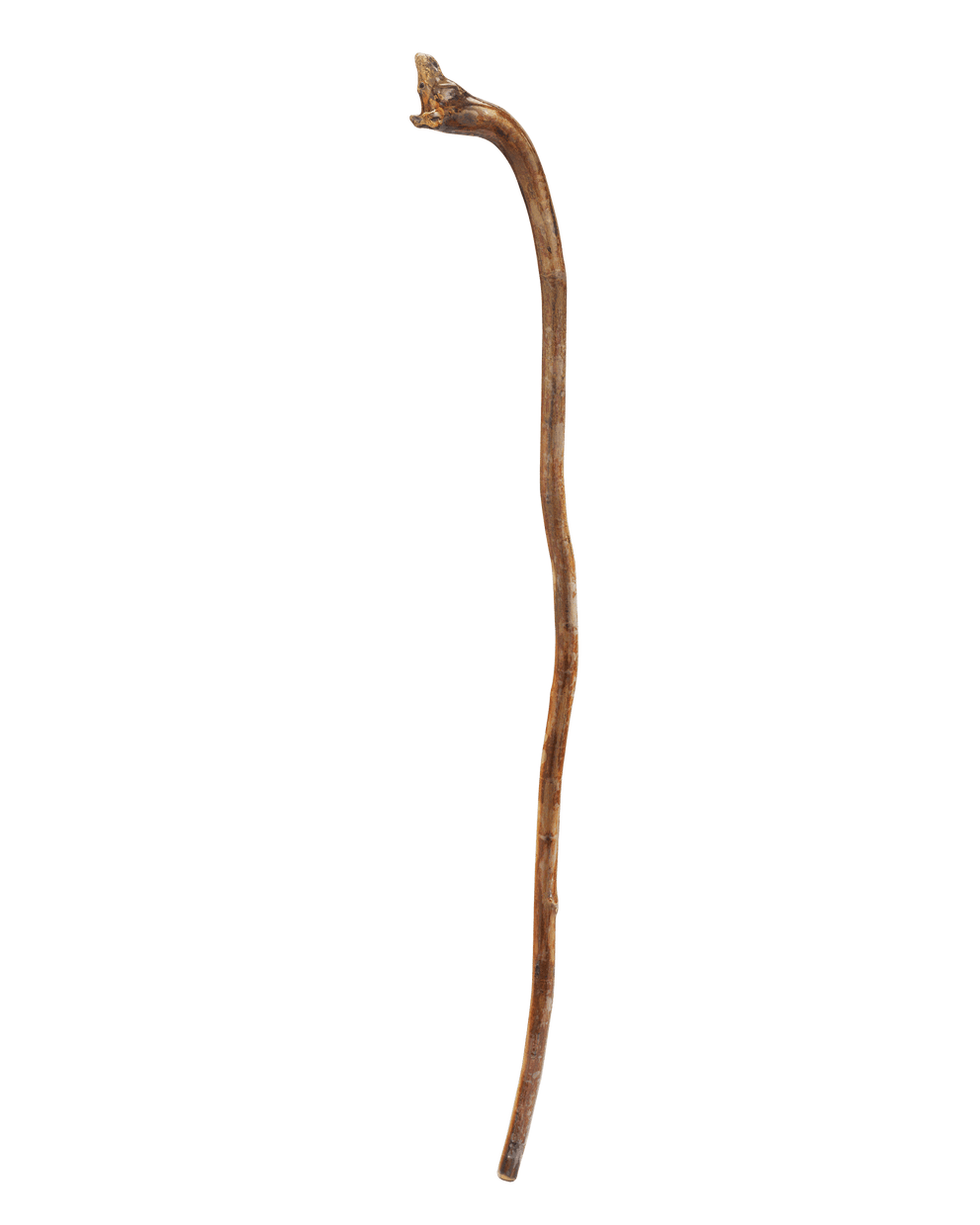 Canine Folk Art Cane | M.S. Rau